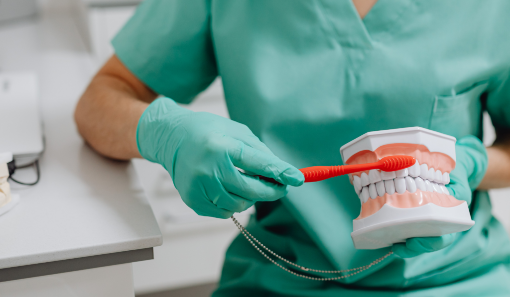 How Many Teeth Do Adults Have? | Bergen Oral Surgery